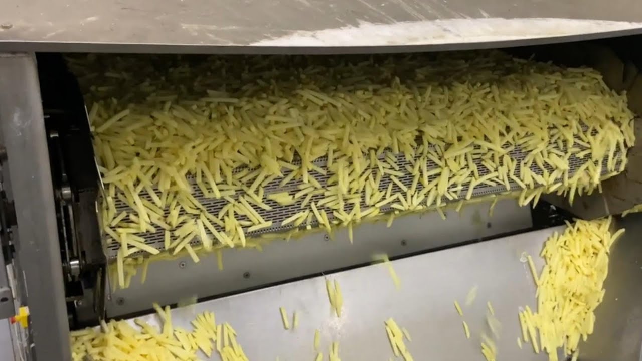 Perforated plate link conveyor belt for french fries production line ...