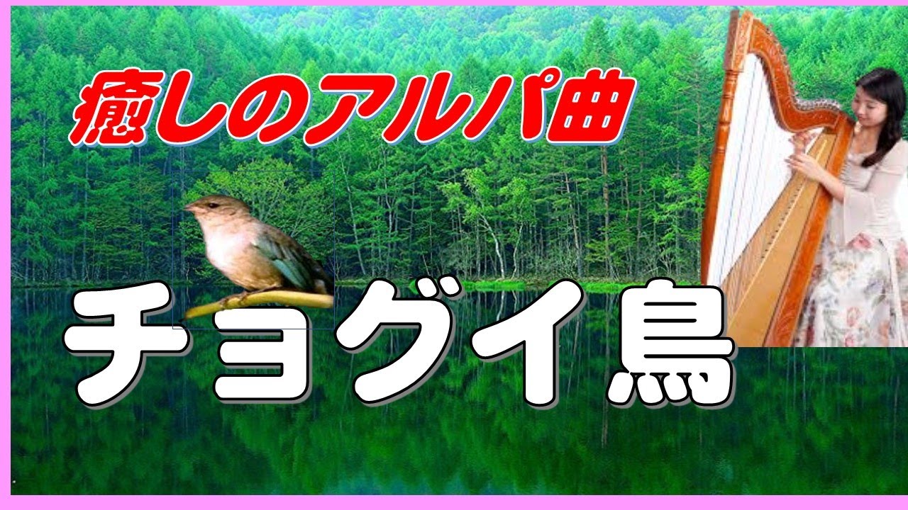 【癒し】【アルパ】【チョグイ鳥】【Pajaro Chogui】 【Arpa】【パラグアイ】 - YouTube