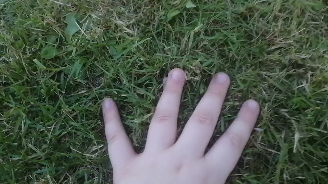 Touching grass [Discord GIF dare] - YouTube