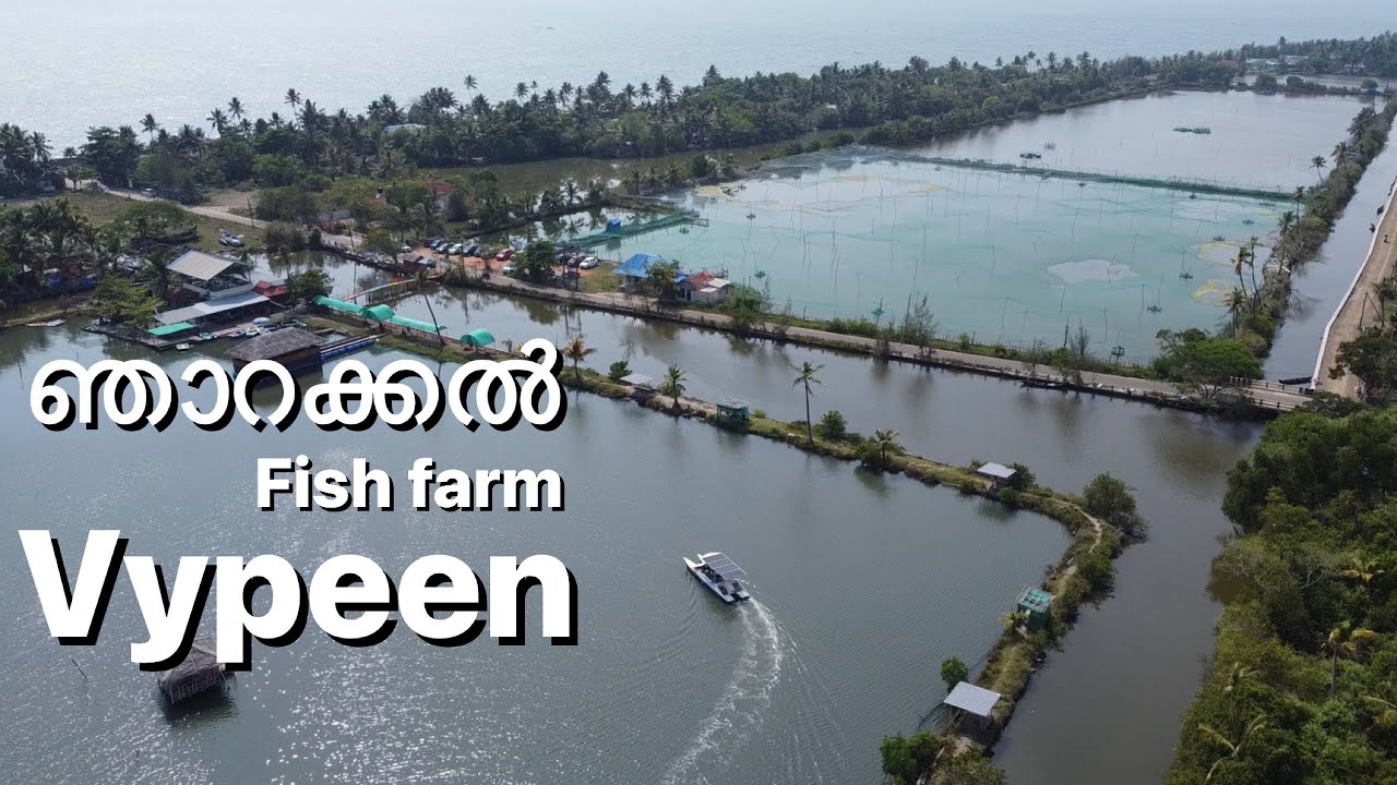 Njarakkal fish farm, vypeen - YouTube