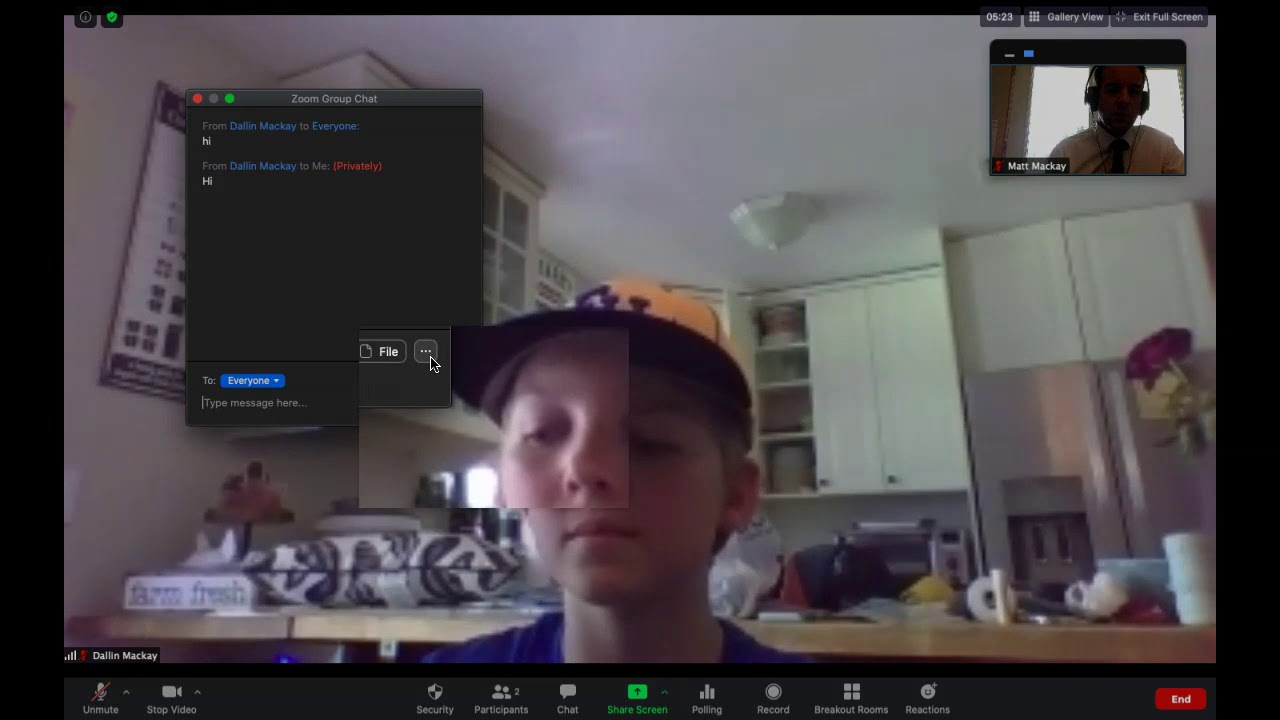 How to manipulate the chat function in Zoom - YouTube