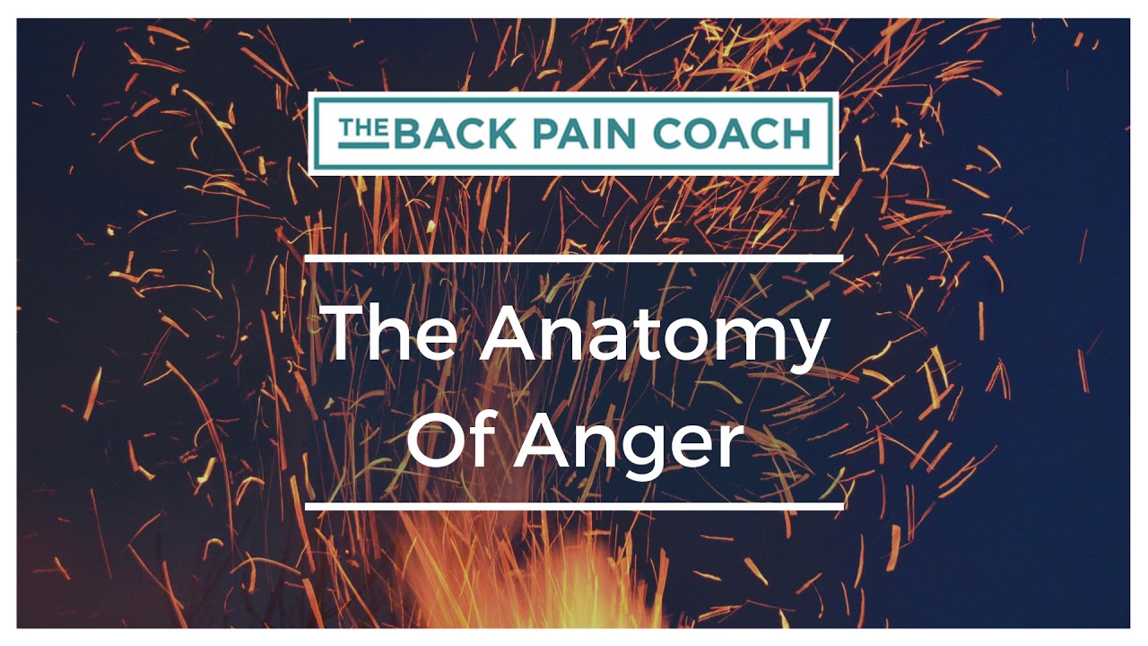 The Anatomy Of Anger Podcast - YouTube