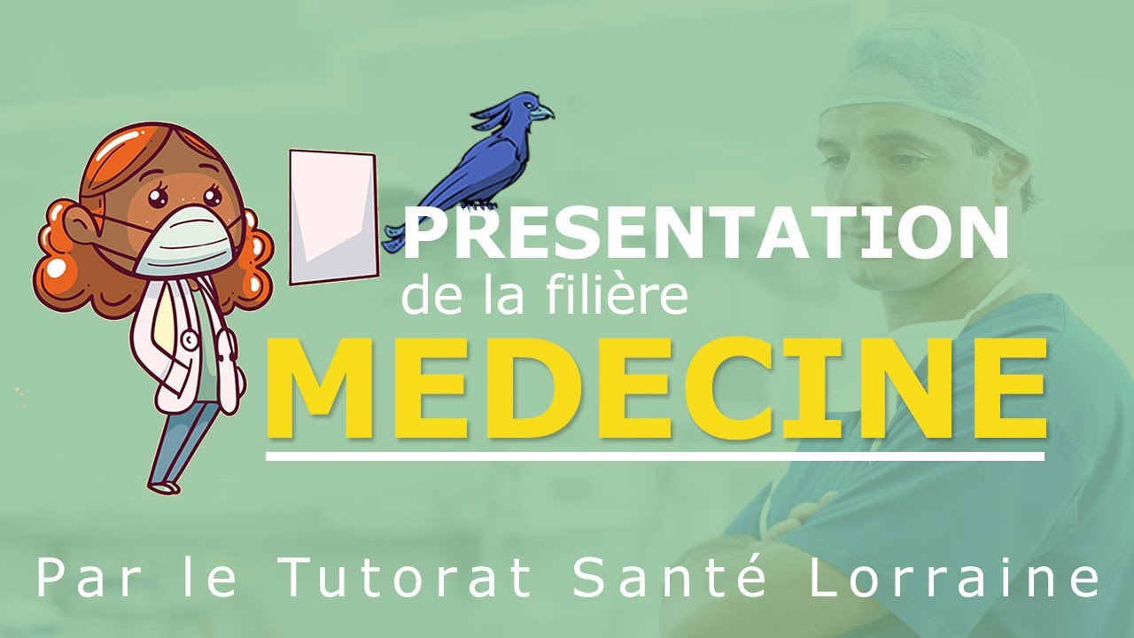 Présentation des filières : MEDECINE - YouTube