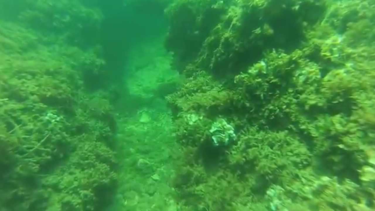 Diving in Tunisia-Mahdia - YouTube