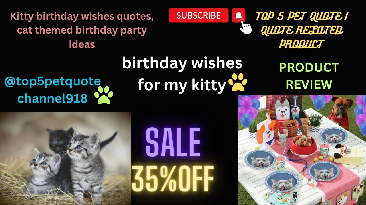 Kitty birthday wishes quotes, cat themed birthday party ideas - YouTube