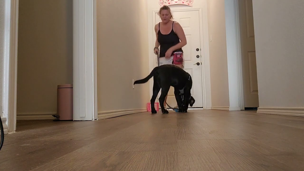 Wait at the Door (Step 5) - YouTube