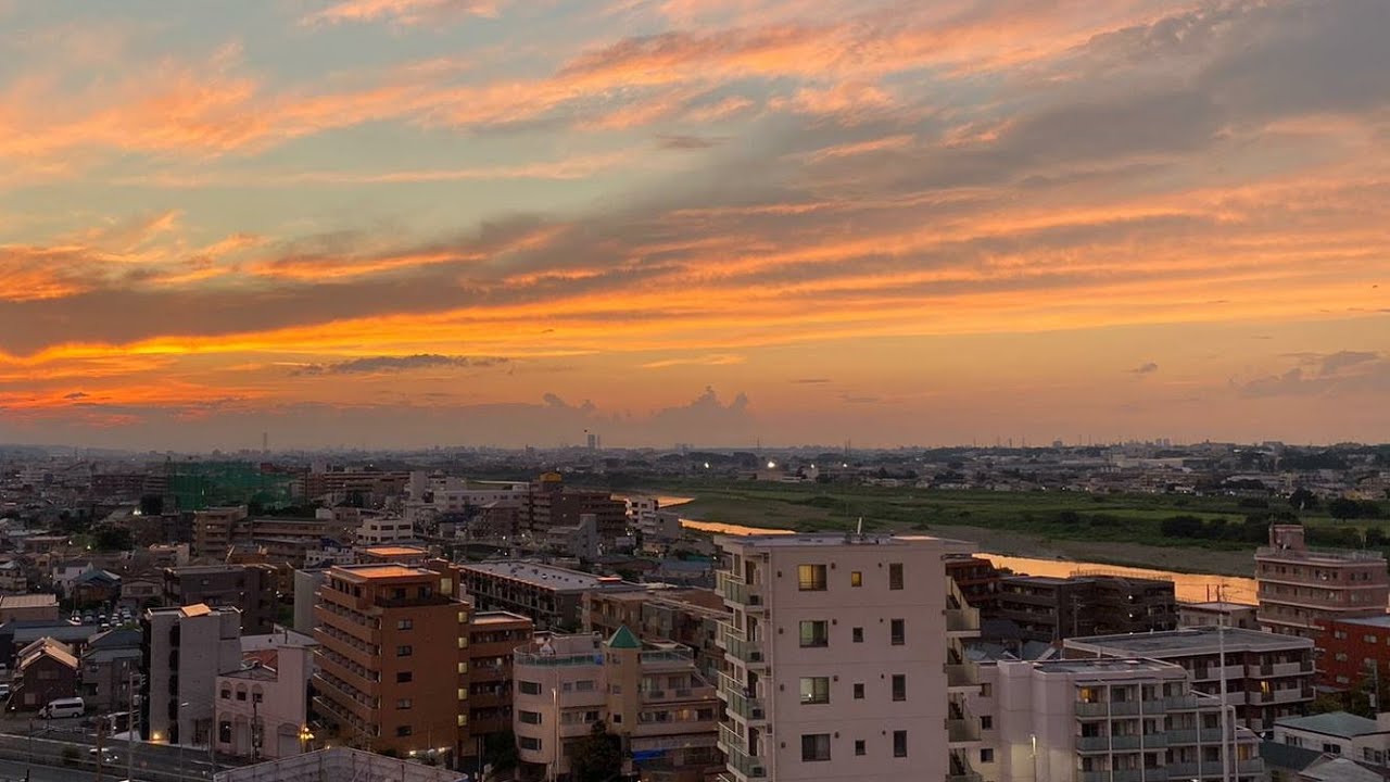 🔴 Live Tokyo Evening Walk - Tamagawa & Residential Areas - YouTube