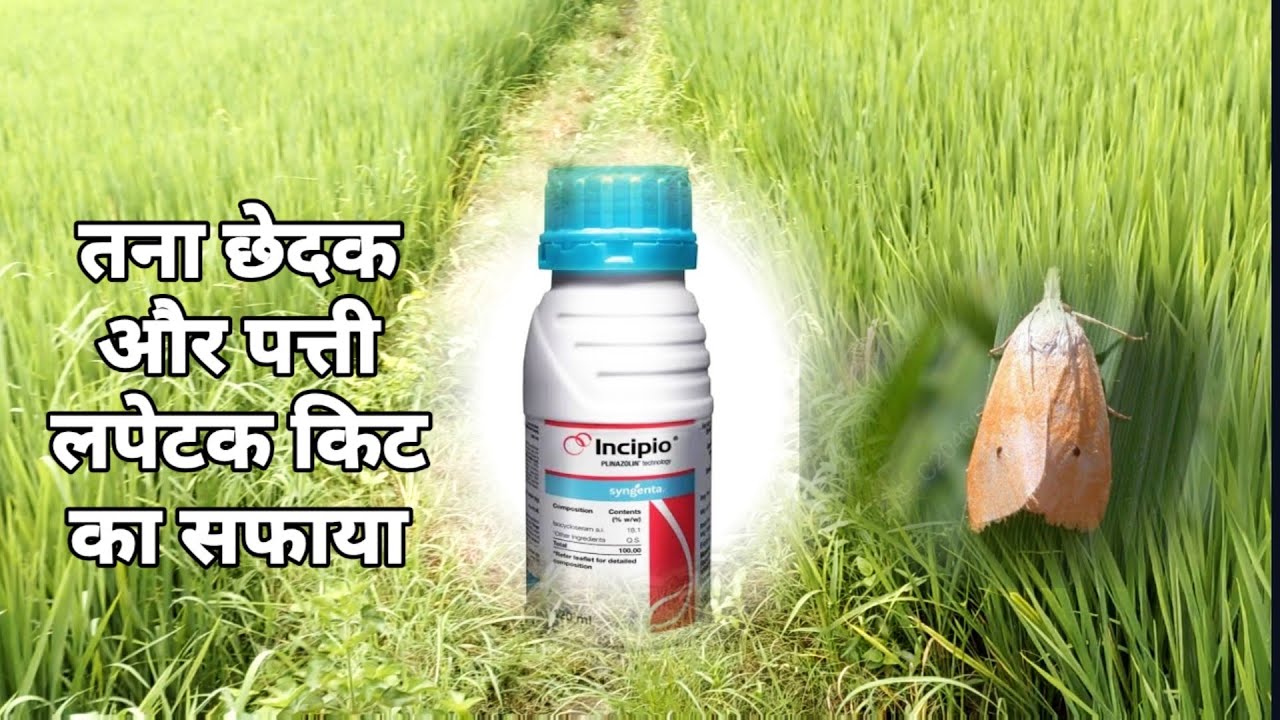 Syngenta Incipio। New Insecticide। - YouTube