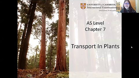 Chapter 7 - Transport in Plants | Cambridge A-Level 9700 Biology - YouTube