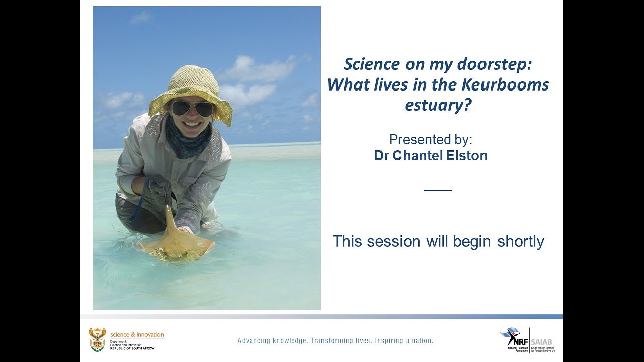 SAIAB Seminar Series 2022: Dr Chantel Elston - YouTube