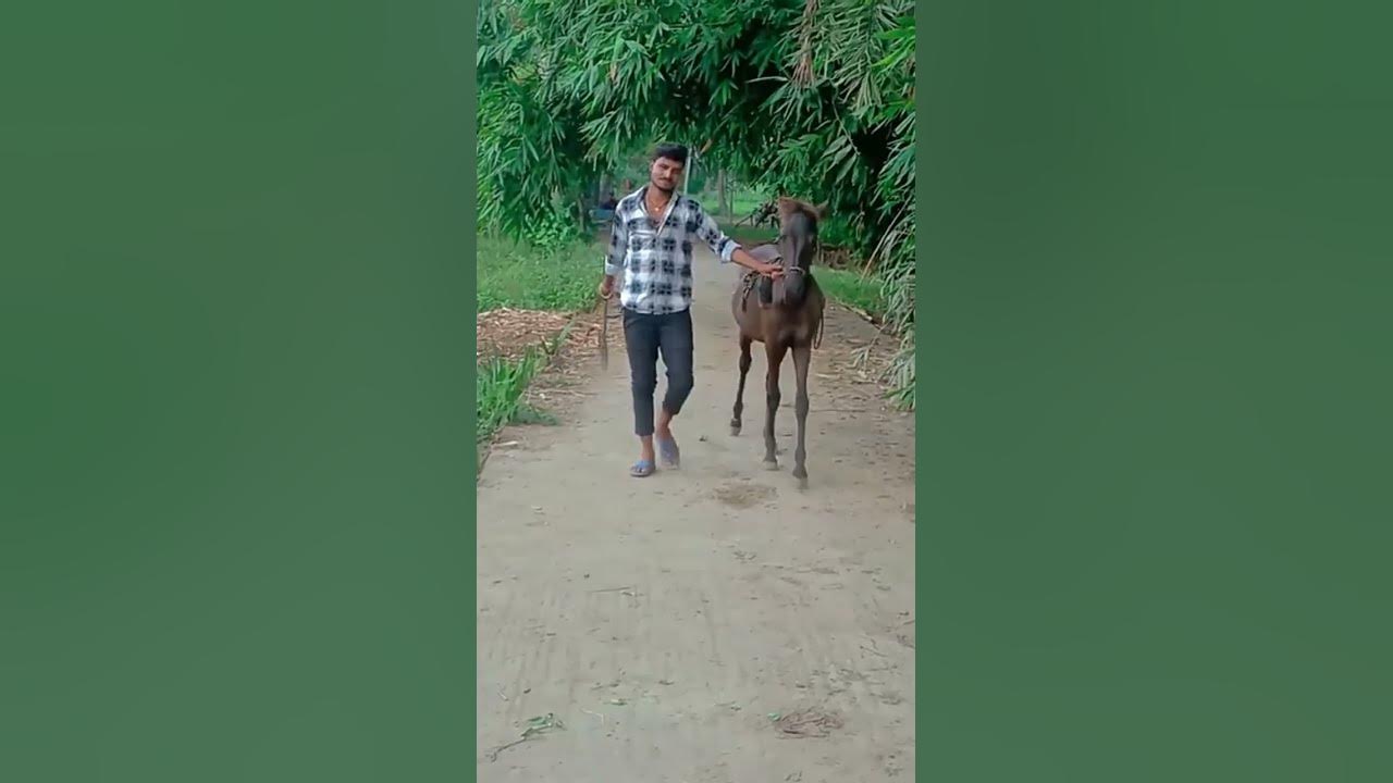 singer Saurav Lal Yadav - YouTube