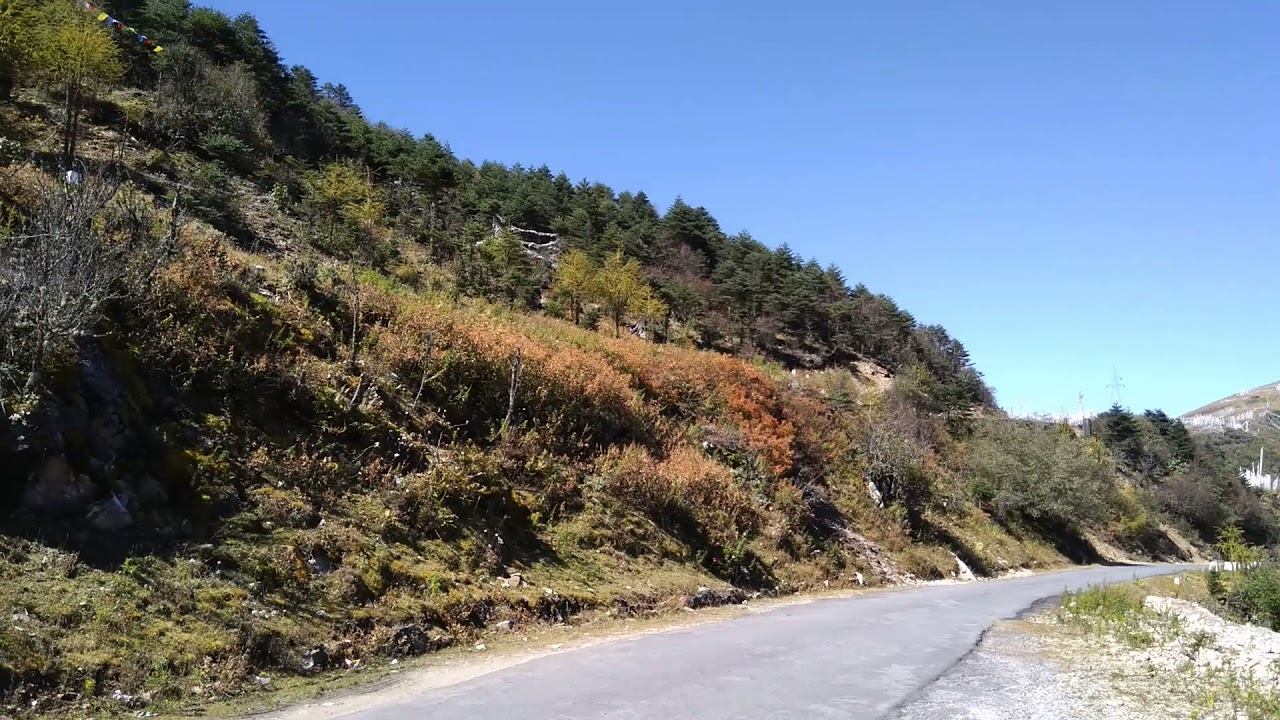 Chelela pass, bhutan - YouTube