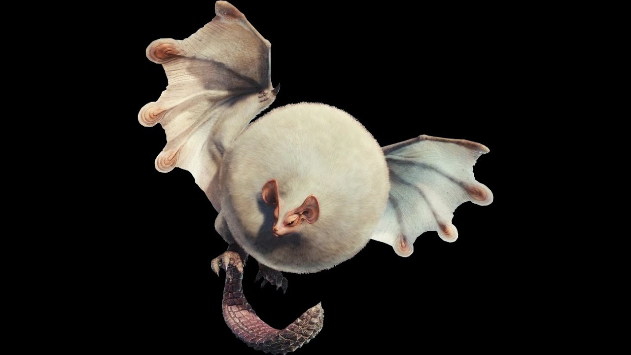 MH: World - Paolumu - YouTube