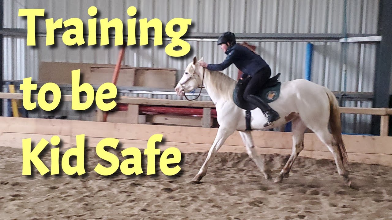 Horse Training: How to Train a Horse to be Beginner & Kid Safe - YouTube