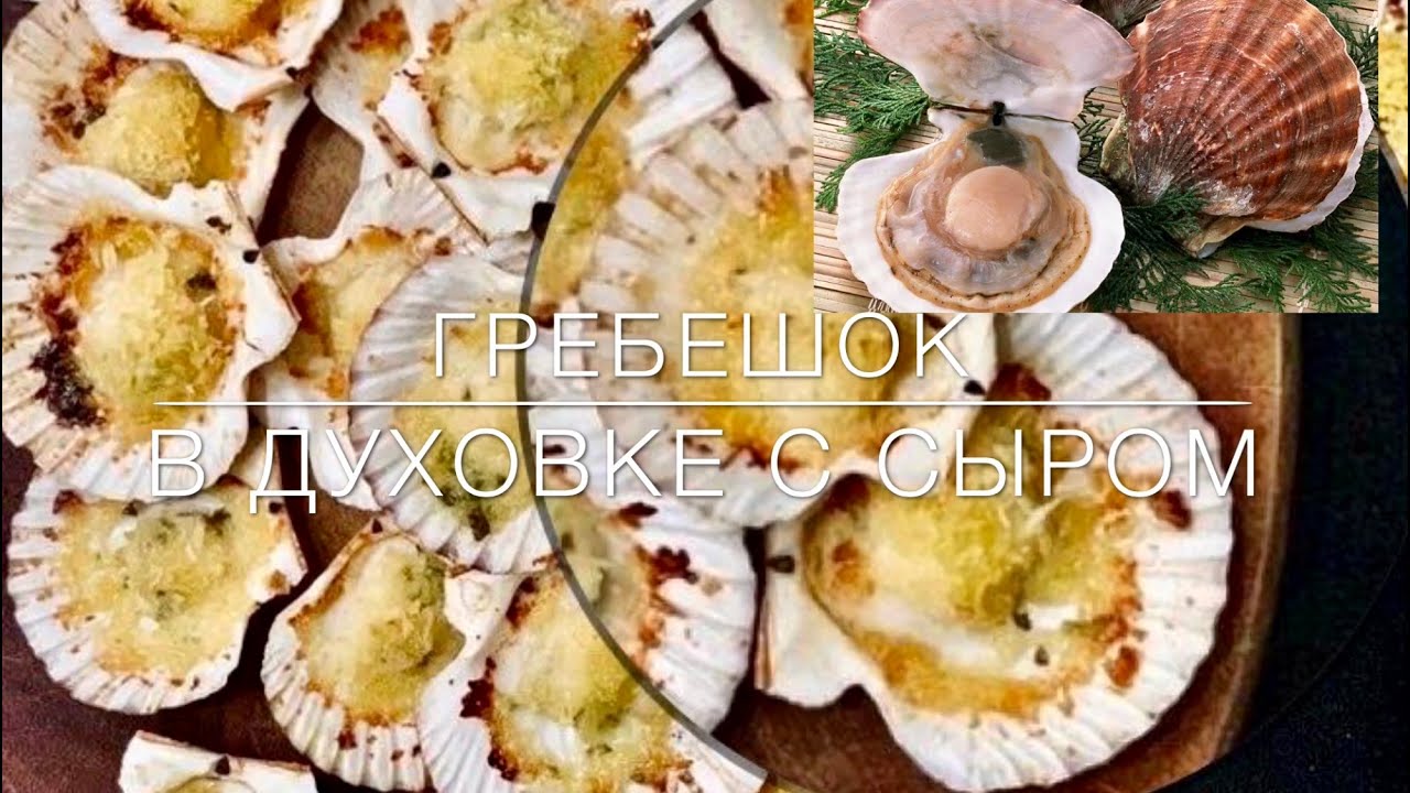 Гребешок в духовке с сыром - YouTube