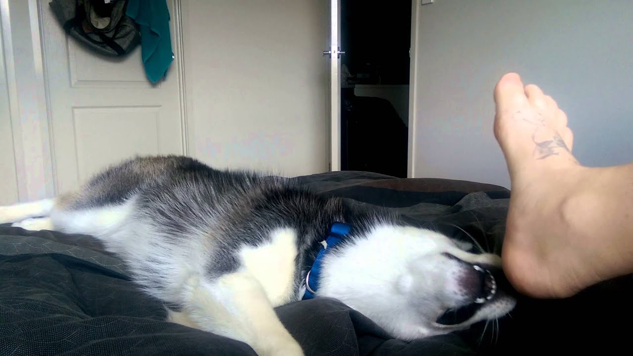 High Five Foot!!! - YouTube