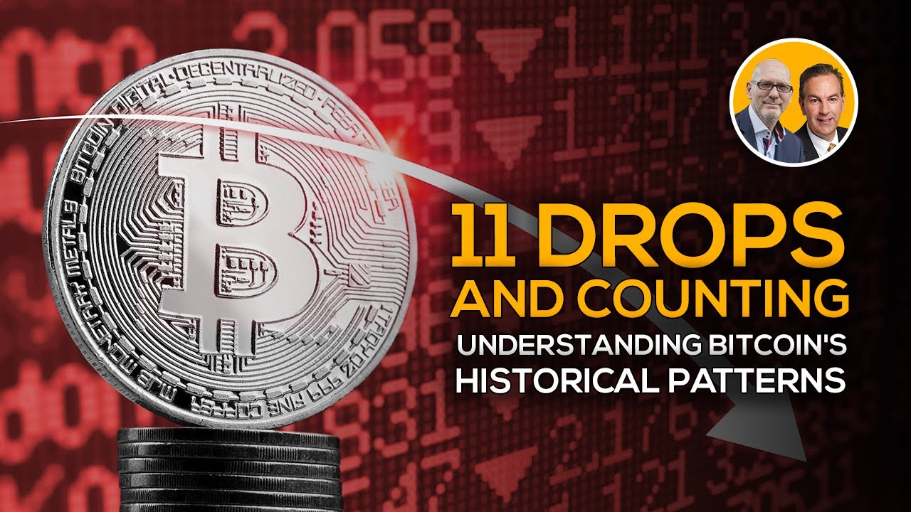 11 Drops and Counting: Understanding Bitcoin's Historical Patterns ...
