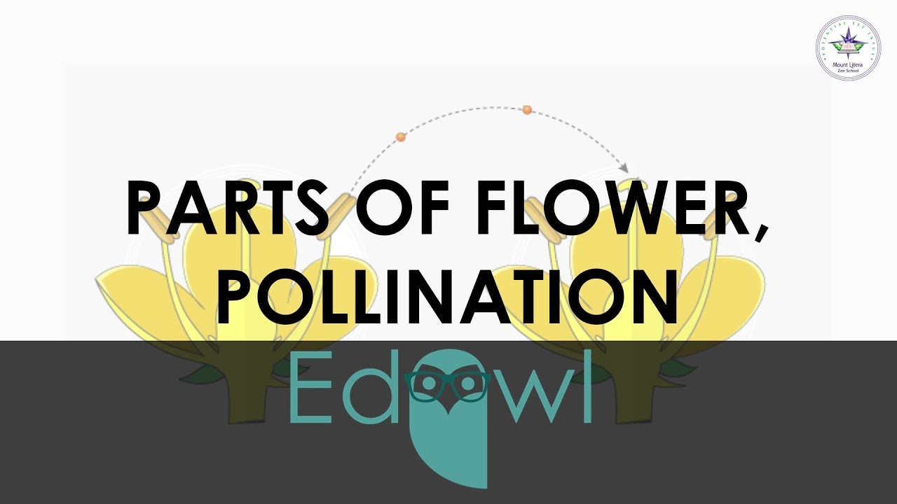 How do Organisms Reproduce? - Parts of flower, Pollination (Class 10 ...