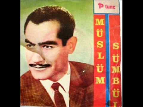 Müslüm Sümbül - Esme Seher Yeli & Su Tarlaya Su Bagladim (45´lik Plak)