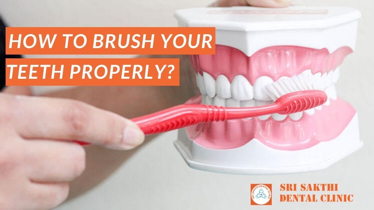 How to Brush Your Teeth Properly? | Proper Tooth Brushing Technique ...