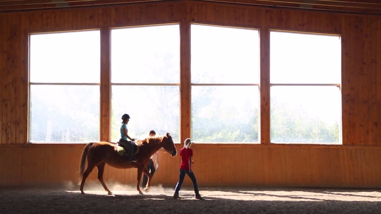 WindReach Farm - Goldie - YouTube