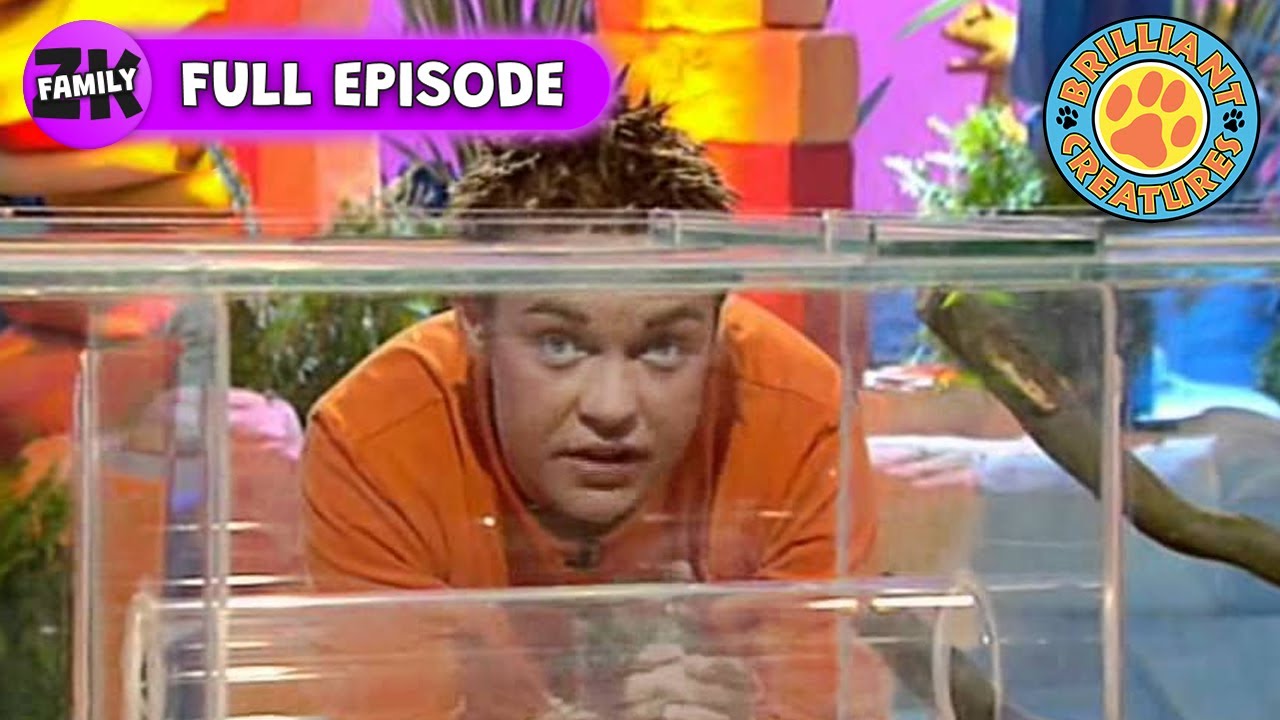 Brilliant Creatures | Full Episode | Season 5, Episode 4 | ZeeKay ...