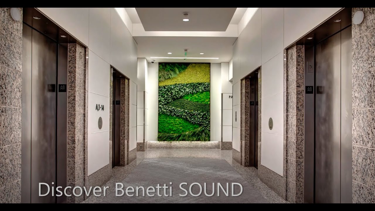 Benetti SOUND Audio Green Wall - YouTube
