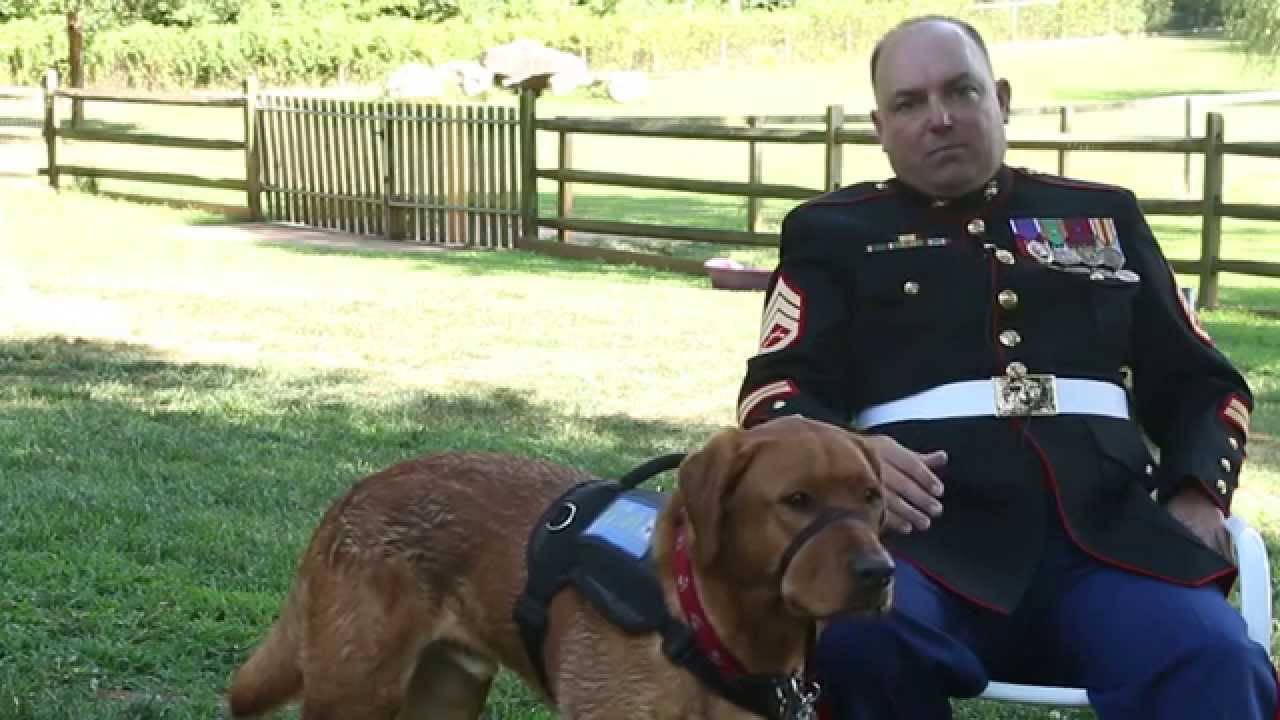 Project 2 Heal Mission - YouTube