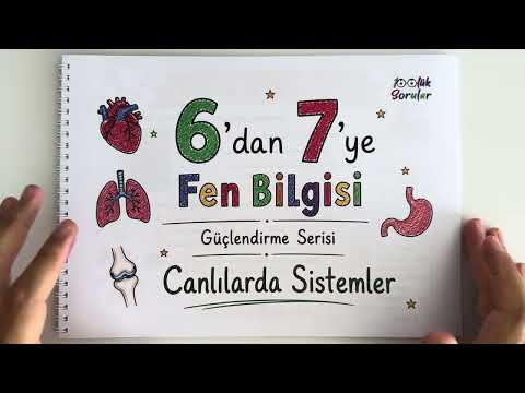 6’dan 7’ye FEN BİLGİSİ / CANLILARDA SİSTEMLER