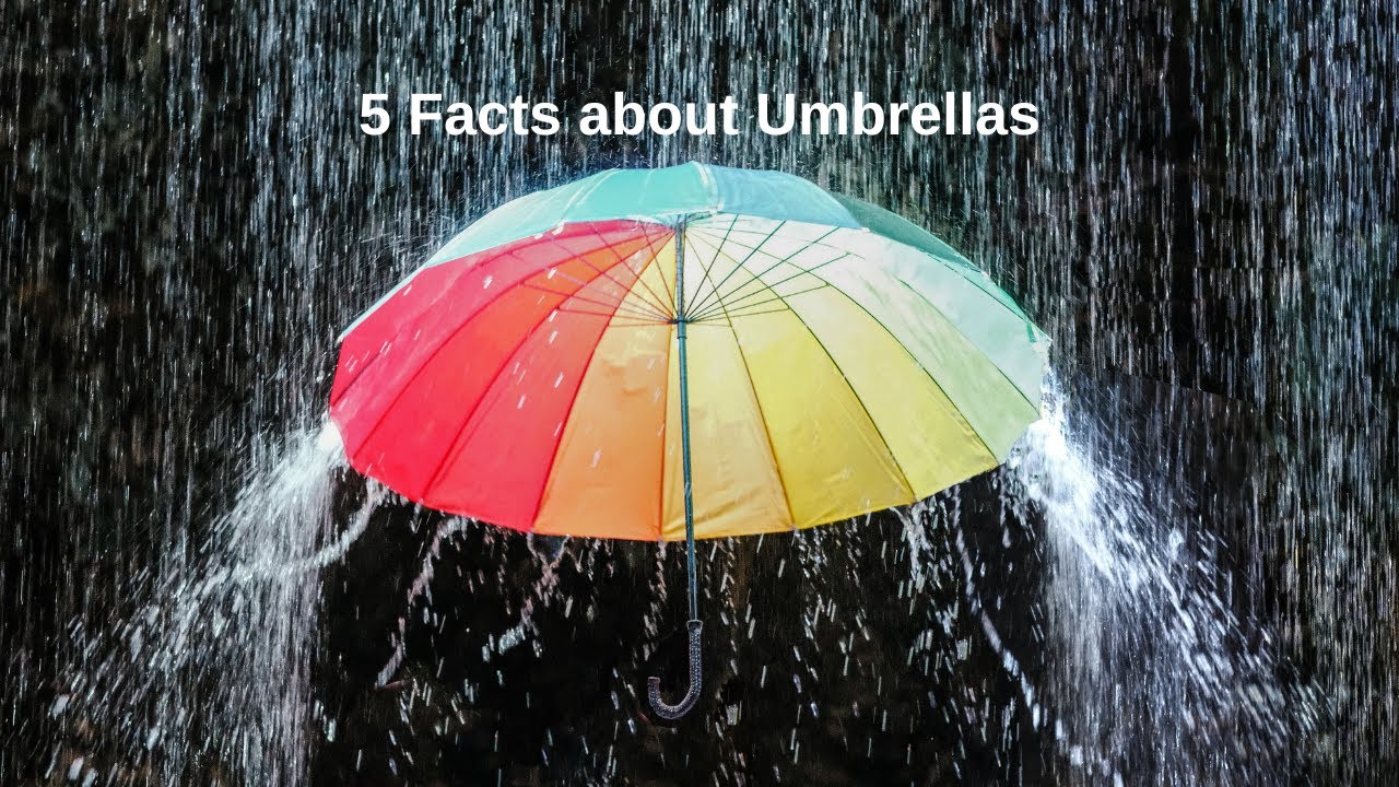 5 Facts about Umbrellas | 5 Facts Hub - YouTube
