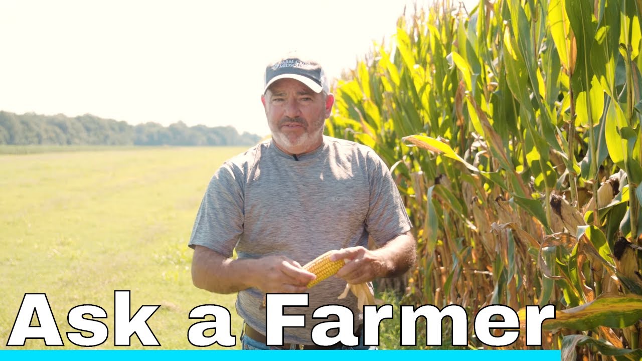 Ask a Farmer | Season 2, Ep. 1 | Corn - YouTube