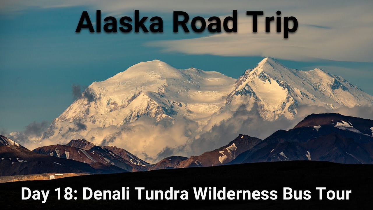 Alaska Road Trip - Day 18: Denali National Park, Tundra Wilderness Bus ...