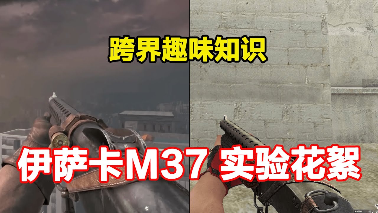 关于伊萨卡M37武器盘点实验花絮，使命召唤7伊萨卡和CF撞枪？ - YouTube