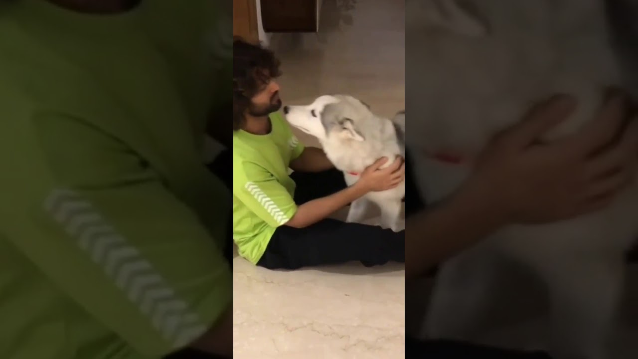 Vijay Devarakonda with his DOG😃🐶 😍#shorts - YouTube