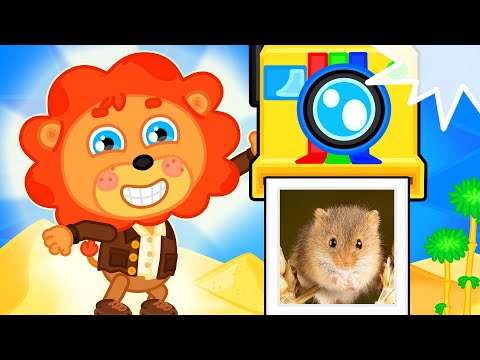 Aslan Yavrusu | Gerçek Seyahat Fotoğrafları | Çocuklar için çizgi film