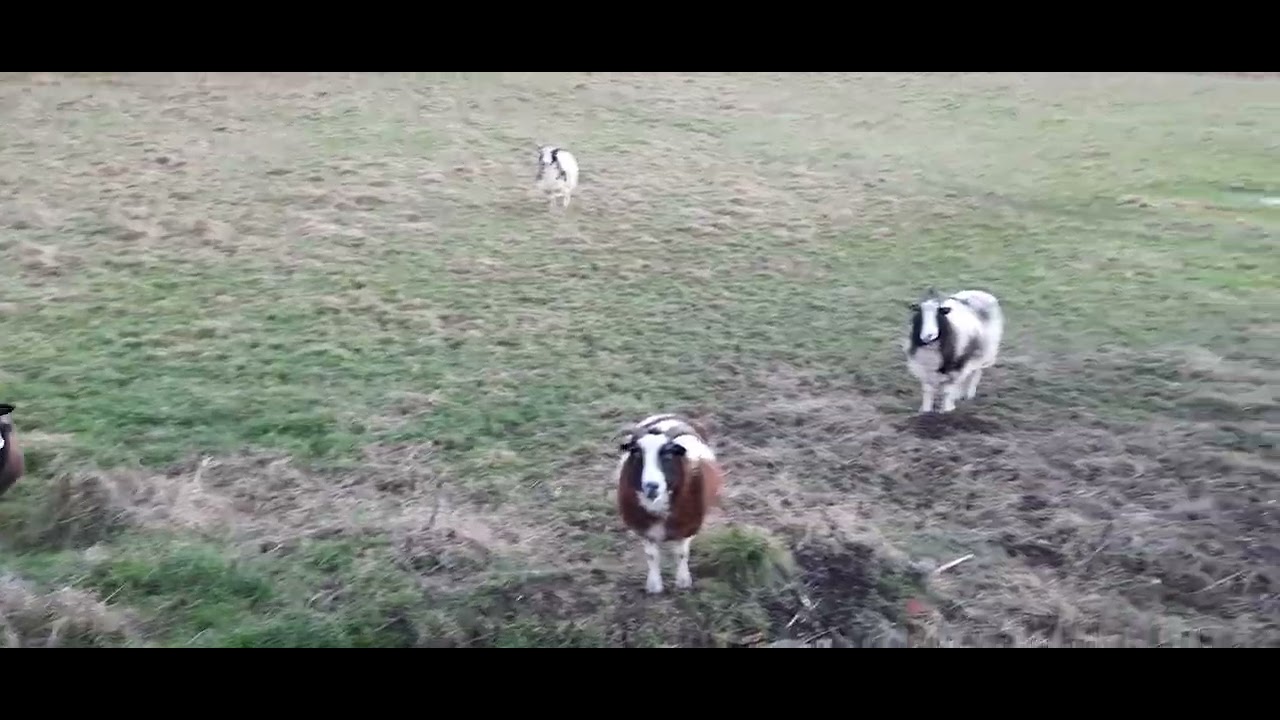 I'm not making this shit up... - YouTube