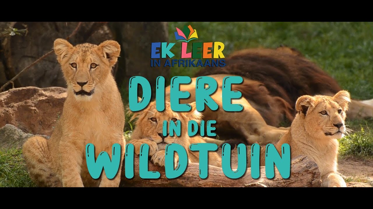 Ongelooflike ontmoetings: Wilde diere in die wildtuin – 'n Natuurlike Skouspel van die groot vyf ...