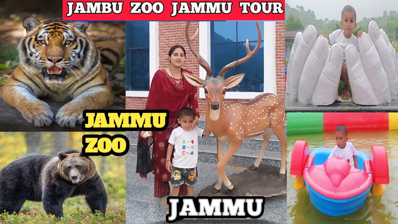 JAMBU ZOO IN JAMMU 😱🥰 🐘🐯 Largest Zoo of North India | Leopard | Bears ...