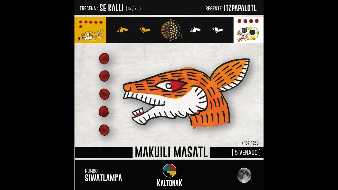 Tonalli Makuili Masatl / 5 Venado Lectura e interpretación - YouTube