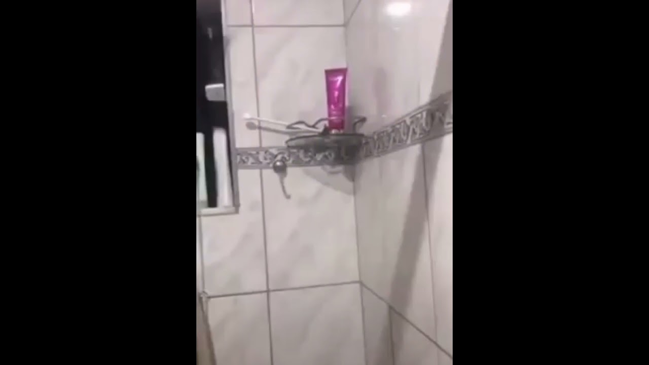 (MEME)___ Mestre splinter 😂😂 - YouTube