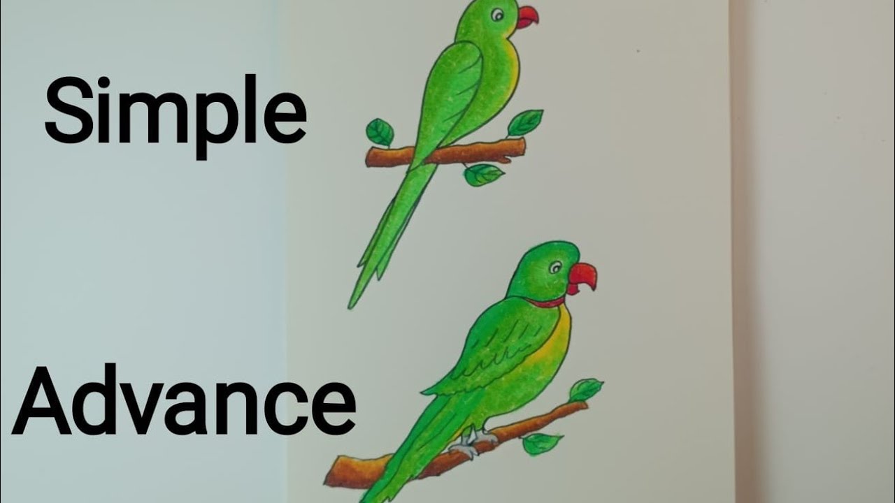 Parrot Drawing | How To Draw Parrot Step By Step for Beginners(simple ...