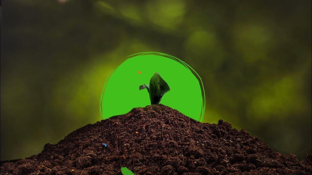 Composting So Much More Than An Apple Core YouTube composting-so-much-more-than-an-apple-core-youtube