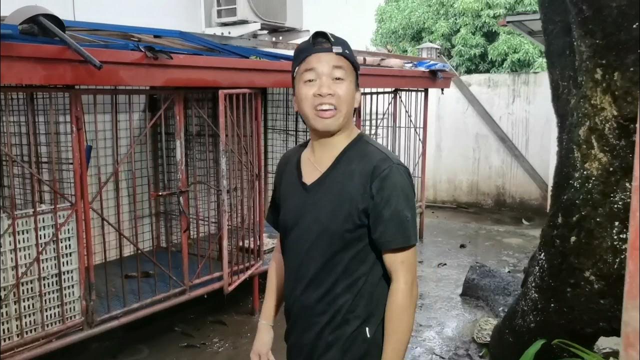 KAKAIBANG NILALANG NATAGPUAN SA KULONGAN NG ASO - YouTube