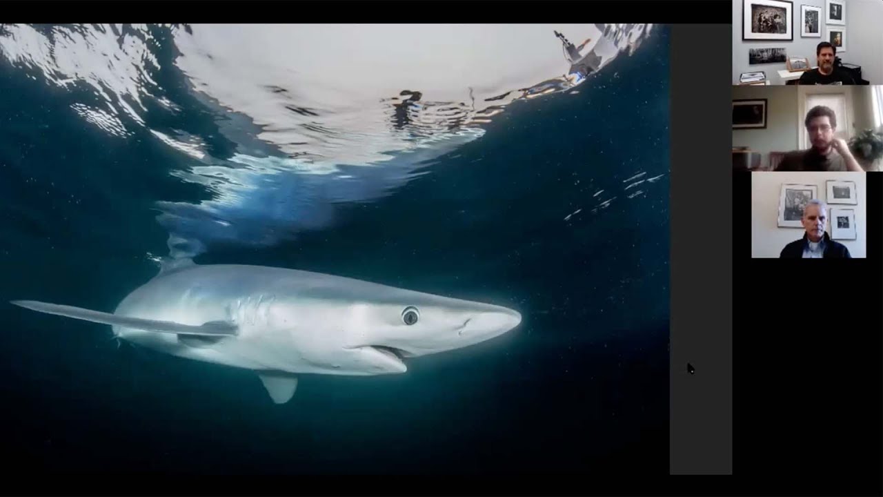 The Art of Underwater Photography with Jake Stout - YouTube