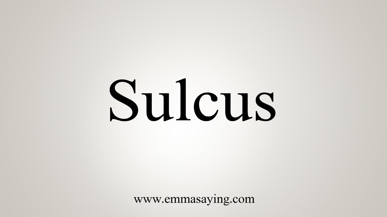 How To Say Sulcus - YouTube