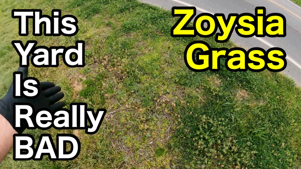 Really Bad Yard How I Fix It - YouTube