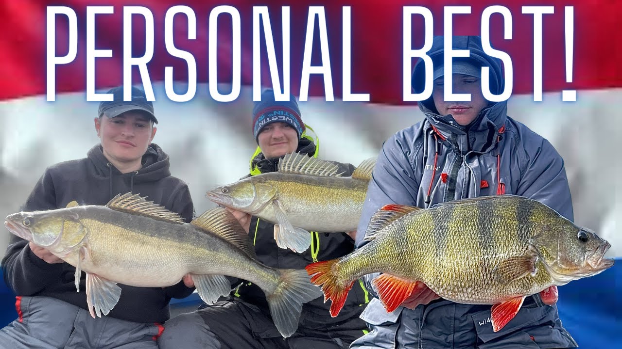 PERSONAL BEST! Big Fish Adventure In The Netherlands (Perch, Pike and ...