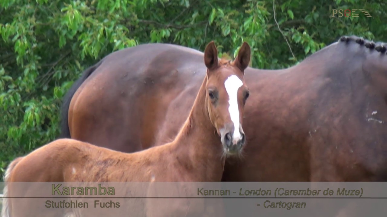 22 Karamba - YouTube