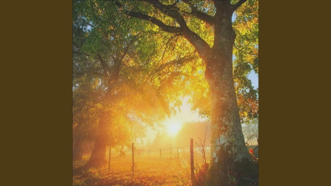 everything ethereal - YouTube