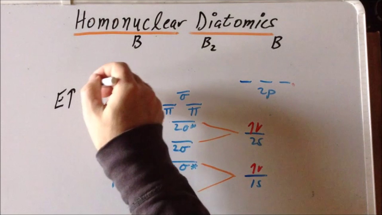 Molecular orbital diagrams of the homonuclear diatomic molecules of the ...